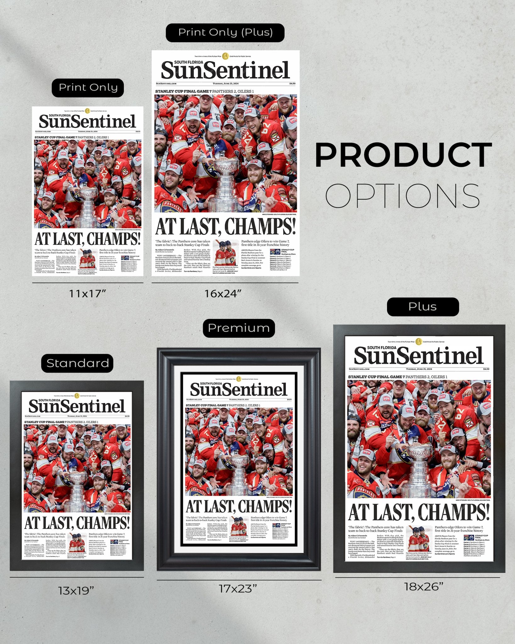 2024 Florida Panthers Stanley Cup Champions Commemorative Framed ...