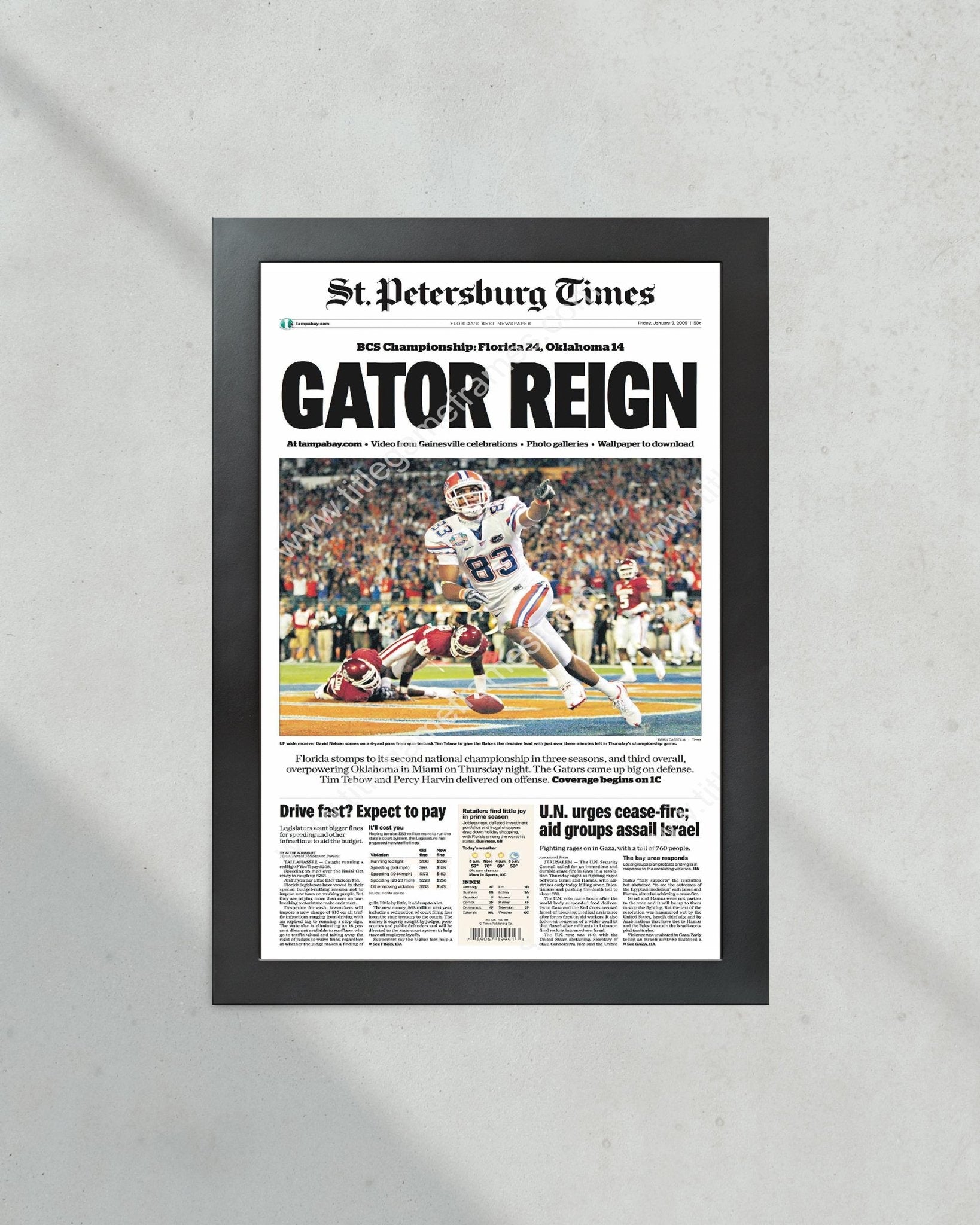 2008 Florida Gators NCAA College Football National Champions Framed Fr ...